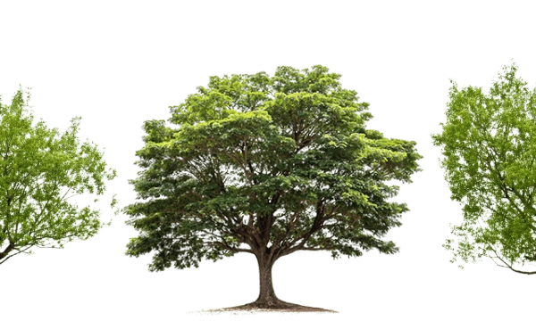 Volney Howard III Obituary (1941 - 2016) - Provo, Utah